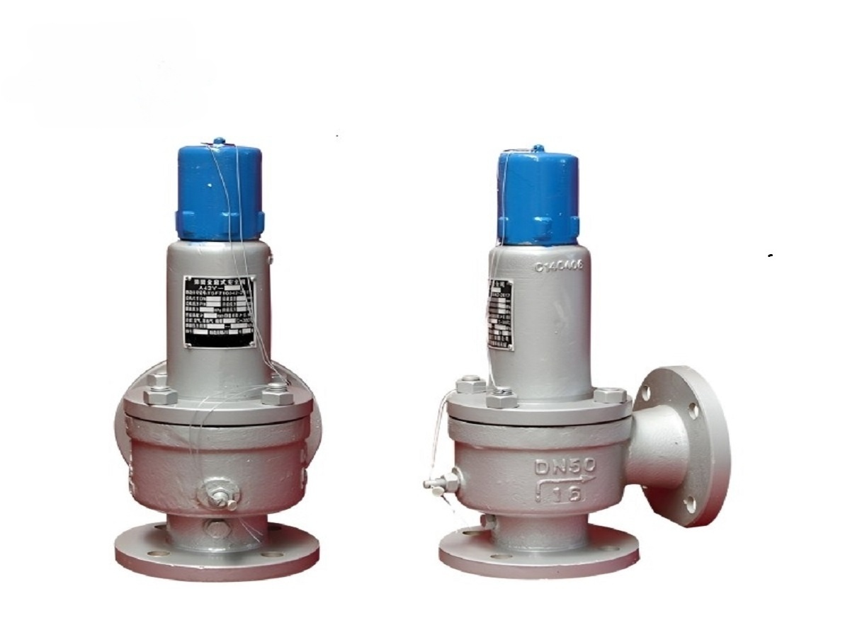 A Step-by-Step Guide to Safety Valve Testing and Maintenance